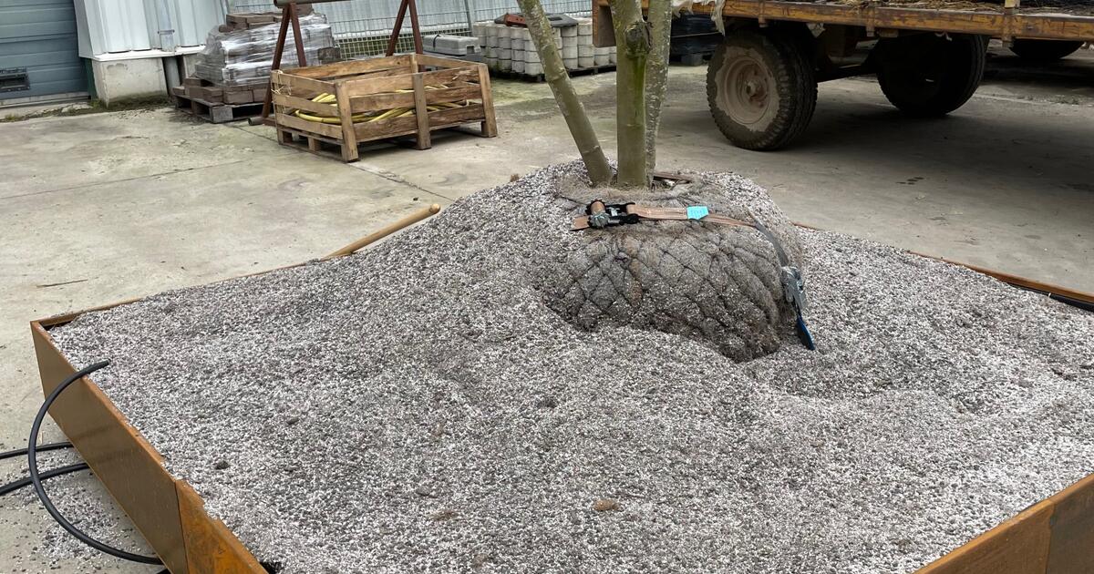 Lightweight substrate for durable plant growth - The Urban Jungle Project